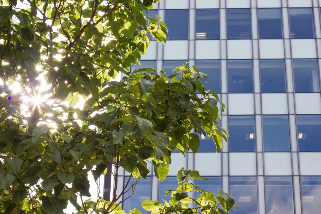 A sustainable future for Manchester | UKGBC