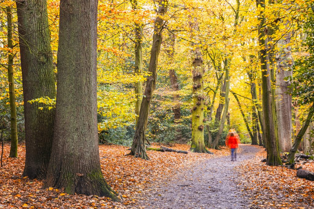 Biodiversity and Environmental Net Gain | UKGBC