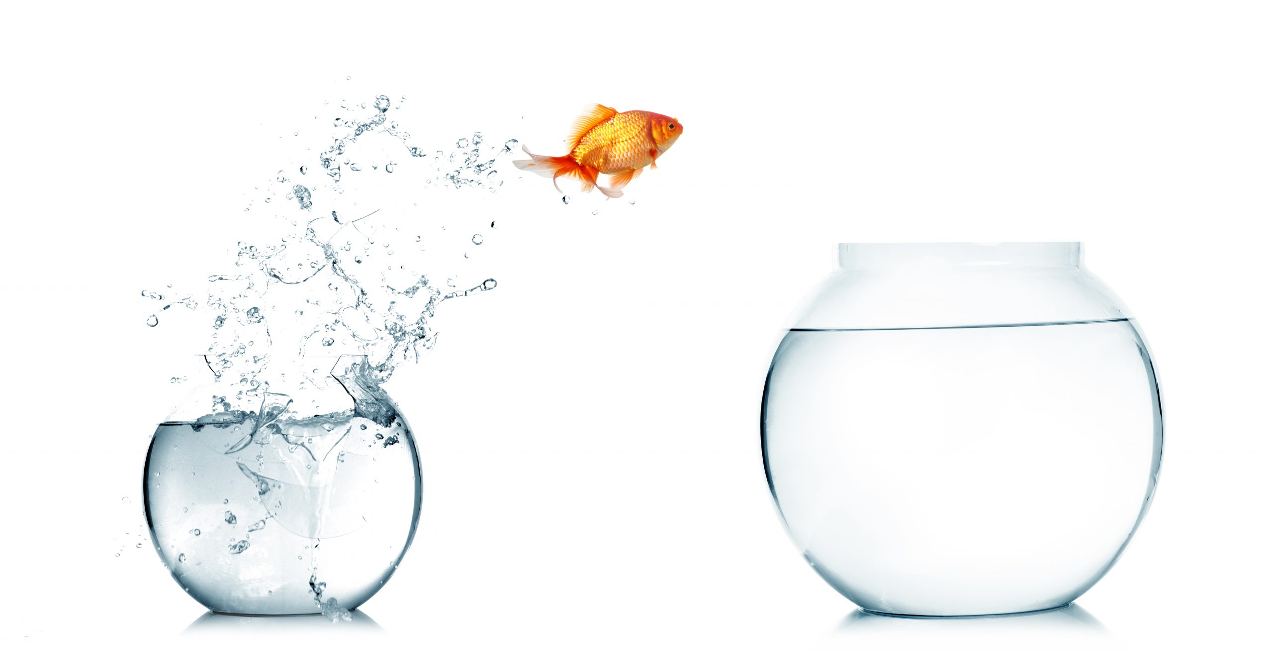 Applications open for Change Accelerator 2021 | UKGBC