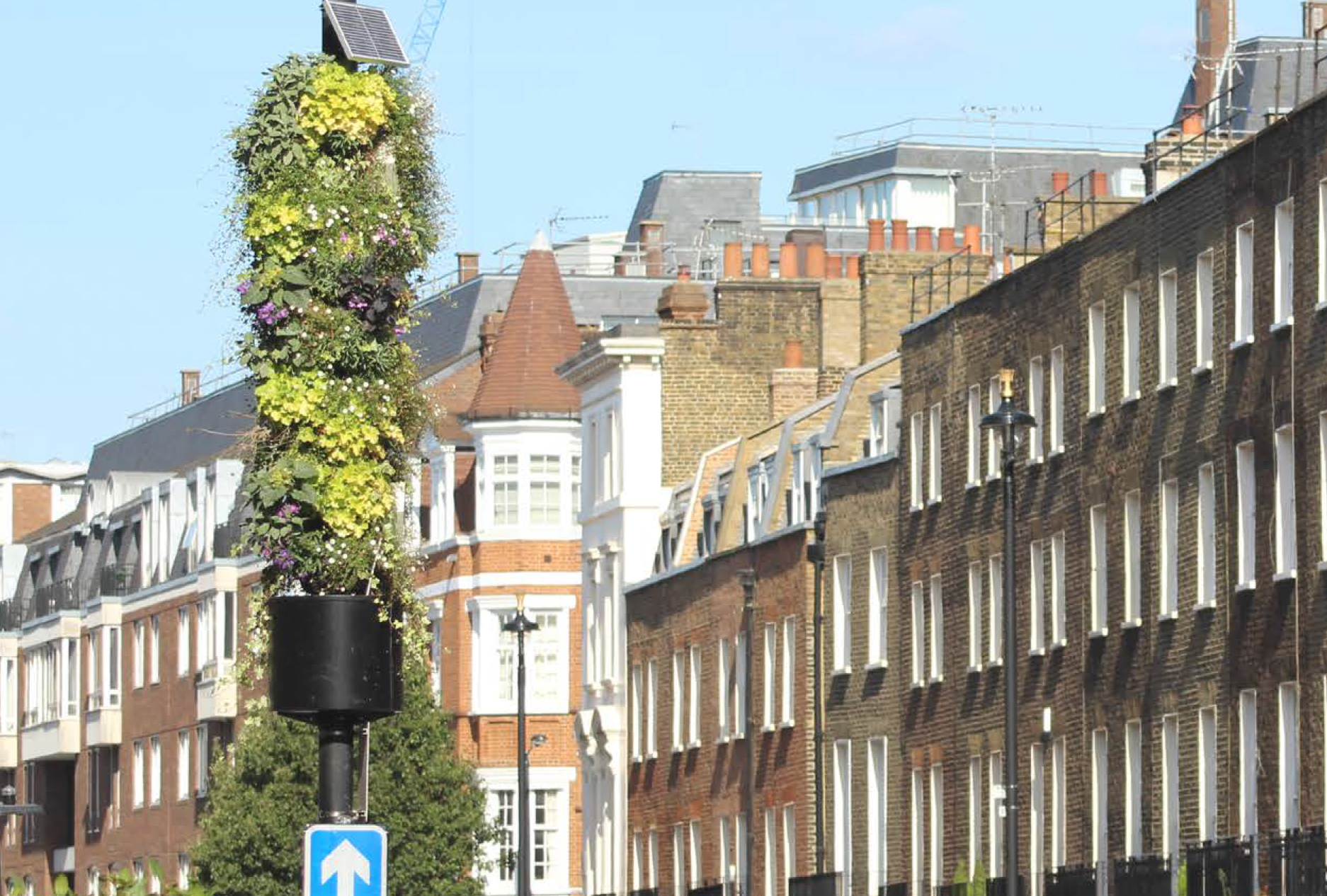 Planting on street lighting scheme | UKGBC