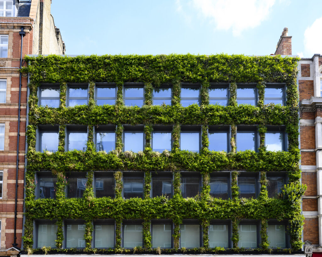 The Value of Urban Nature Based Solutions | UKGBC