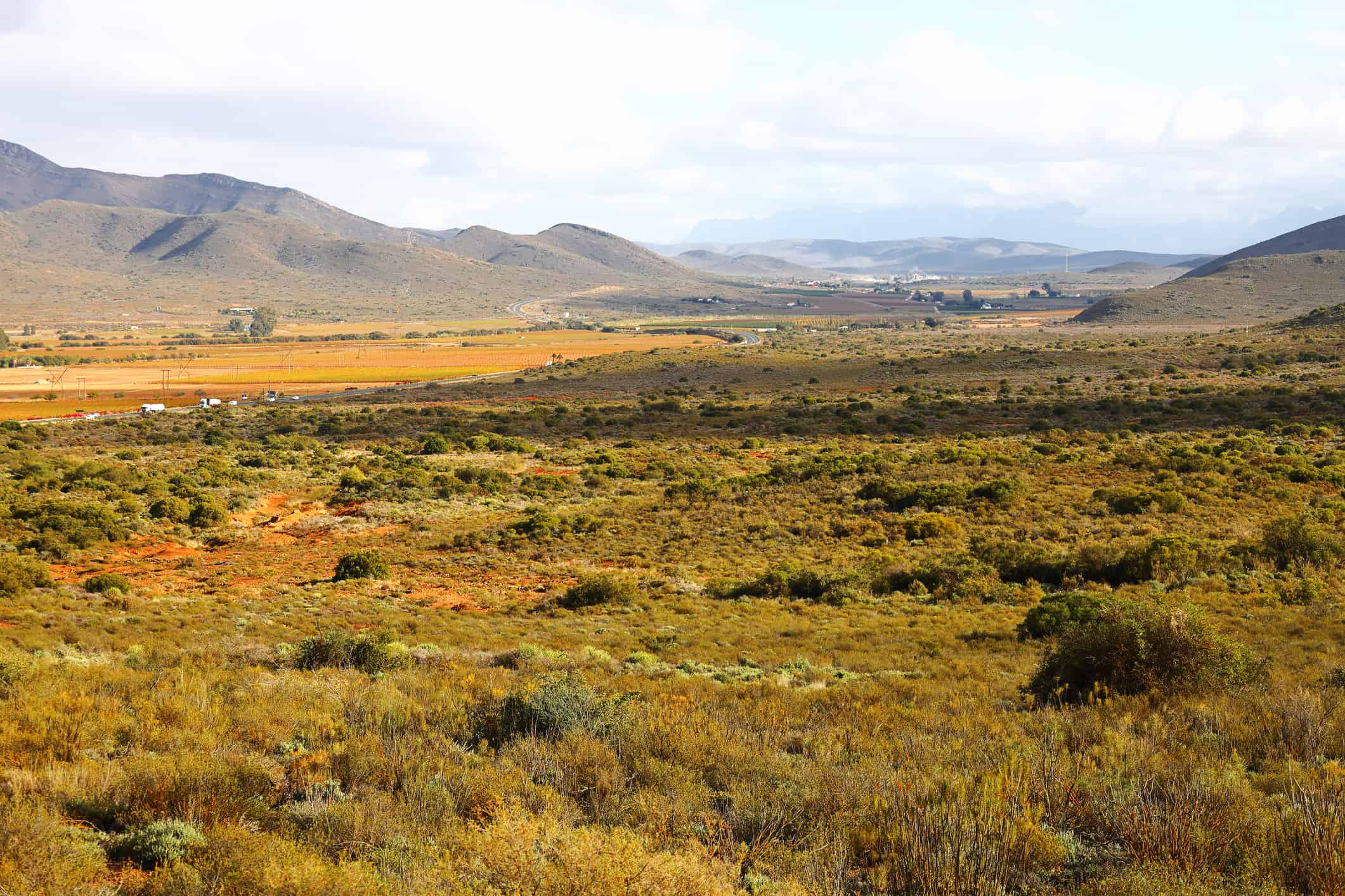 Circular Economy and Nature | UKGBC