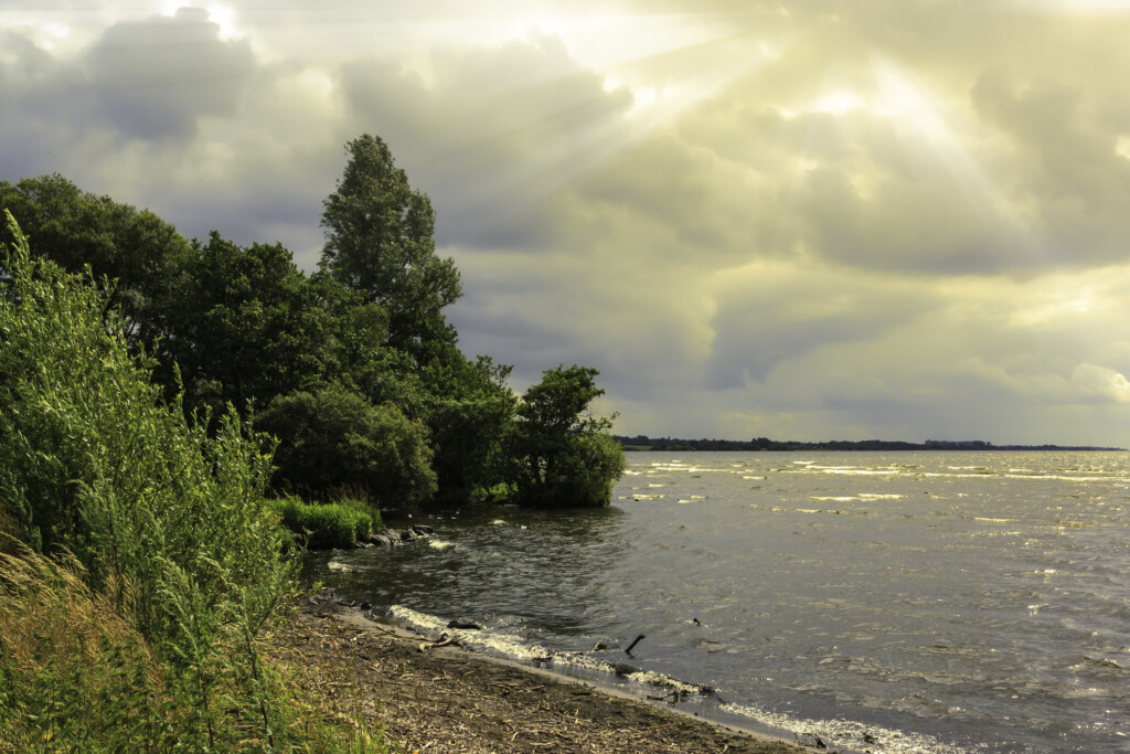 A conversation on biodiversity at Lough Neagh - a fact sheet | UKGBC