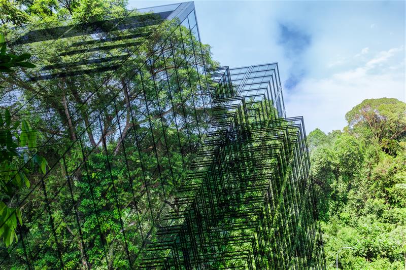 Nature Positive Framework: Public Consultation Webinar | UKGBC